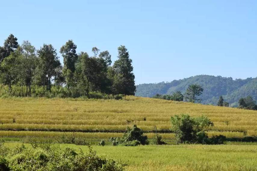 Karbi Anglong: A Region Of Unparalleled Beauty