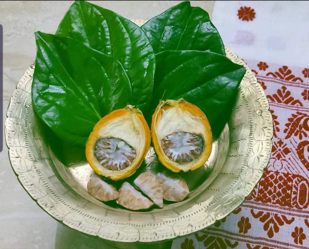 Tamul Pan: Its Inspiring Origin And Cultural Significance 24